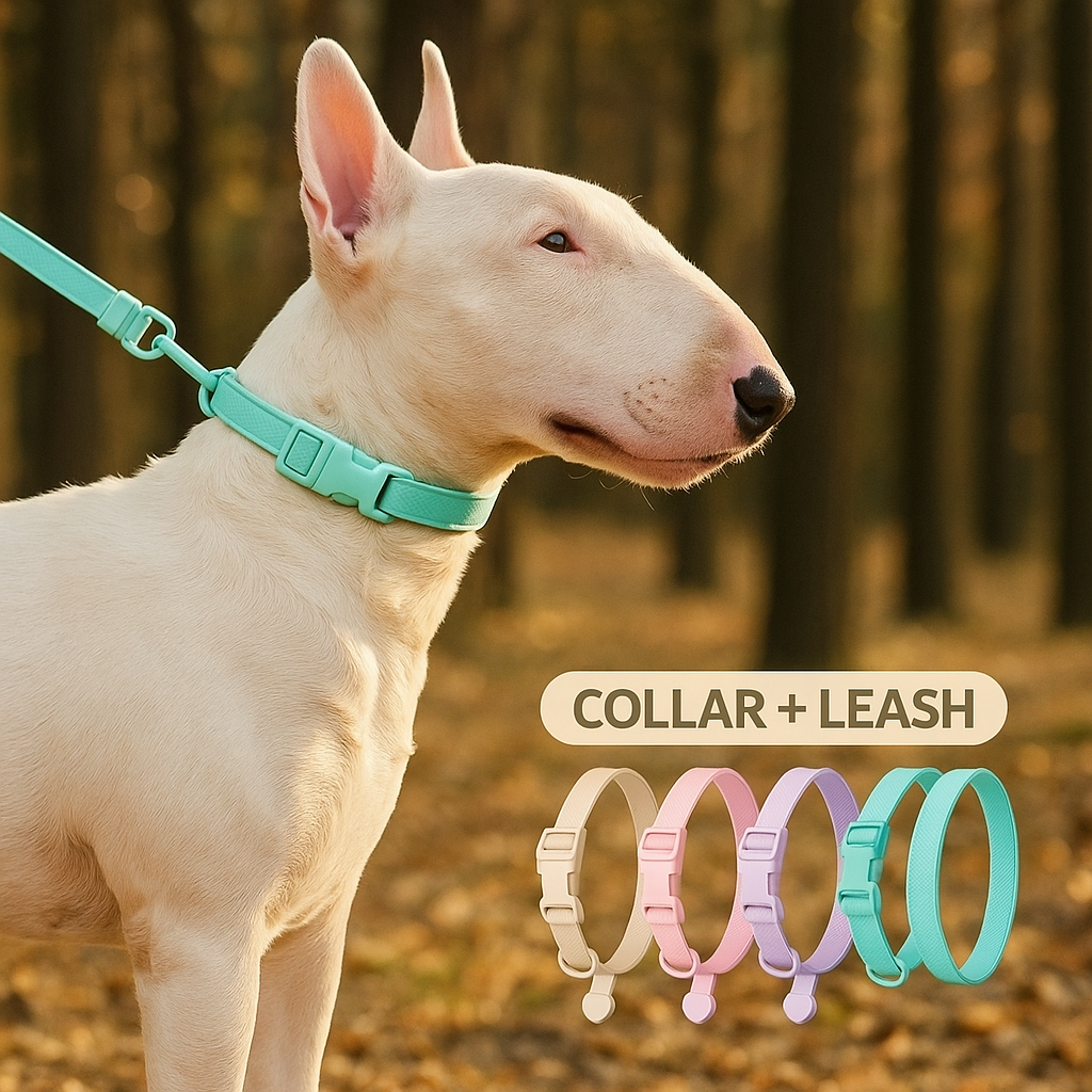 Premium Waterproof Dog Collar Leash Combo Set | Pets Kingdom Australia