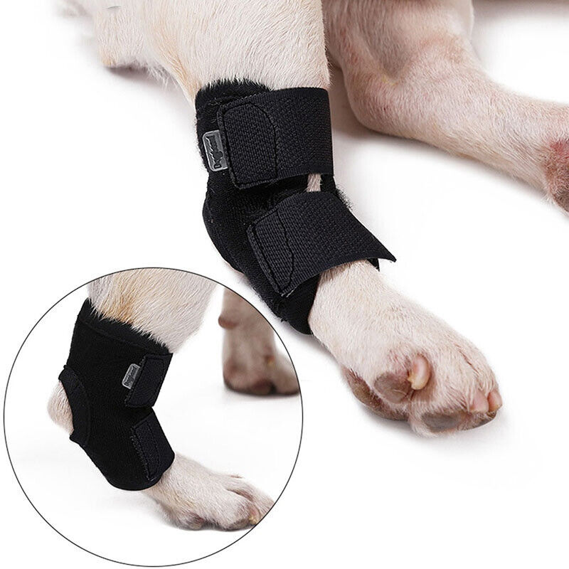 Dog Leg Joint Support Leg Brace | Pets Kingdom Australia