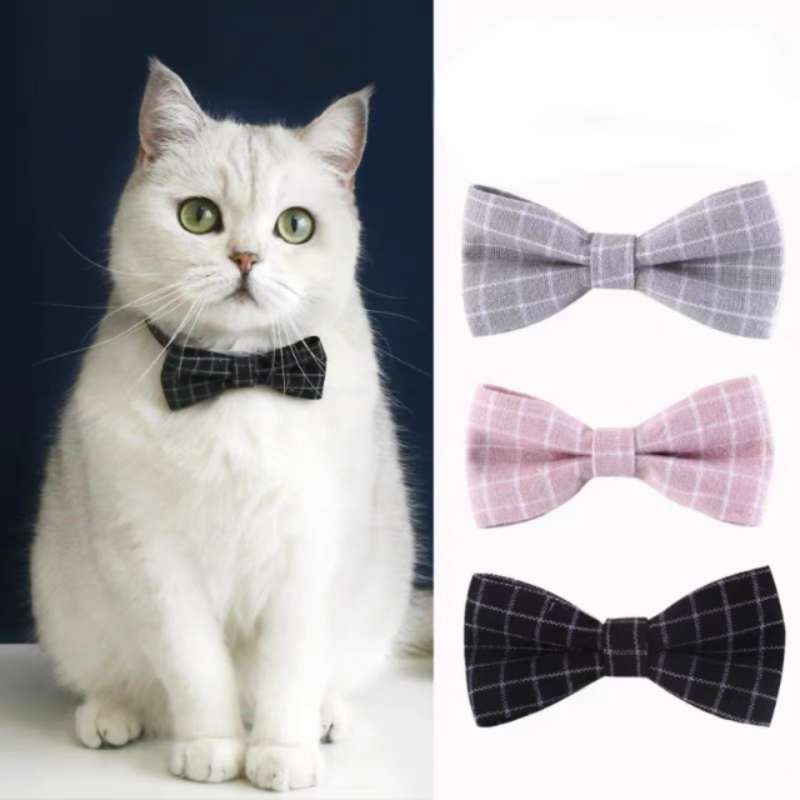 Cat Formal Bow Tie - Black | Pets Kingdom Australia