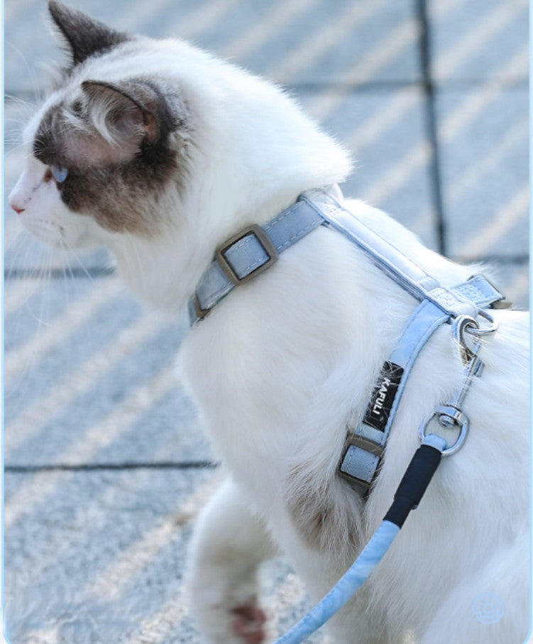Cat Premium Gradient Color Harness and Leash Set | Pets Kingdom Australia